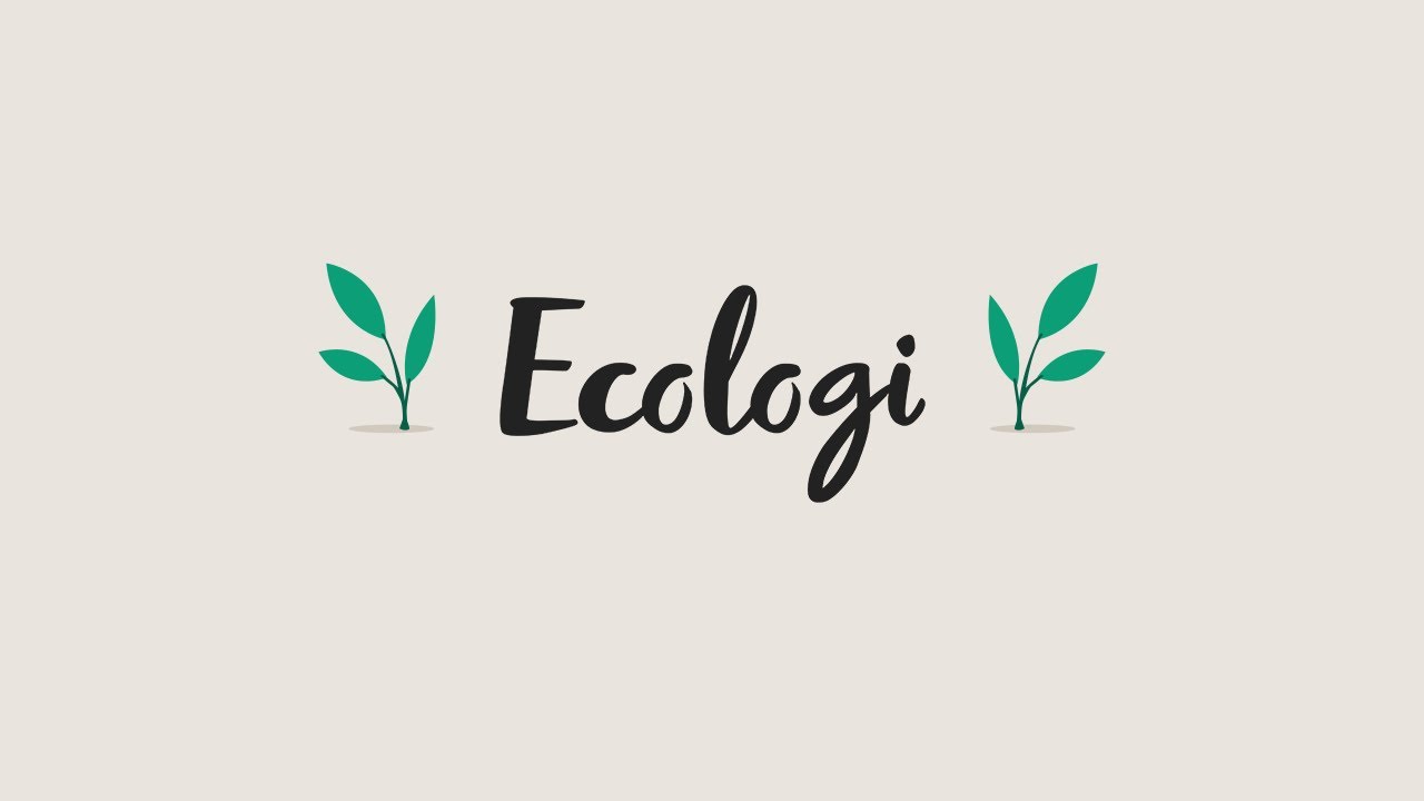 What are the benefits of joining Ecologi? | Includability